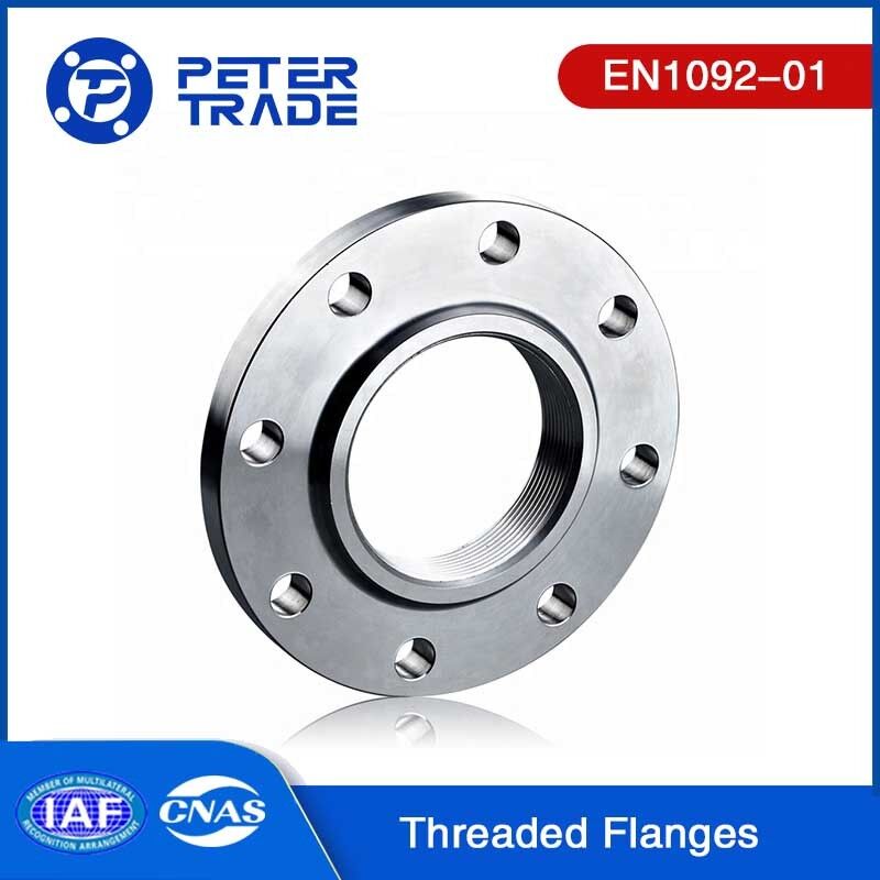 EN1092-01 Type 13 PN40 Carbon Steel/Stainless Steel Threaded Flange ...