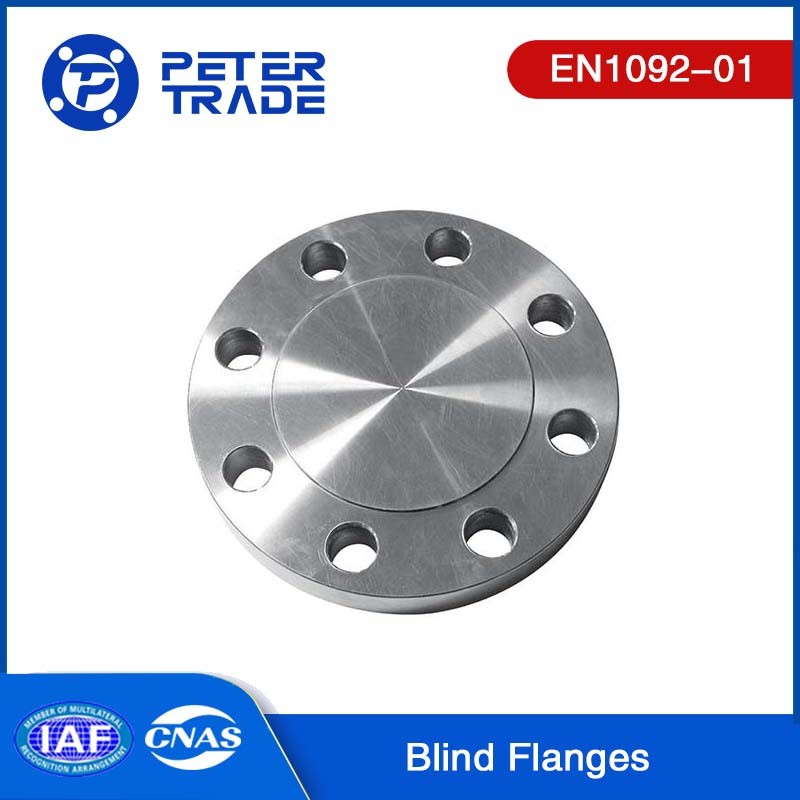 EN1092-01 Carbon Steel Blind Flange TYPE 05 Raised Face/Flat Face PN100 ...